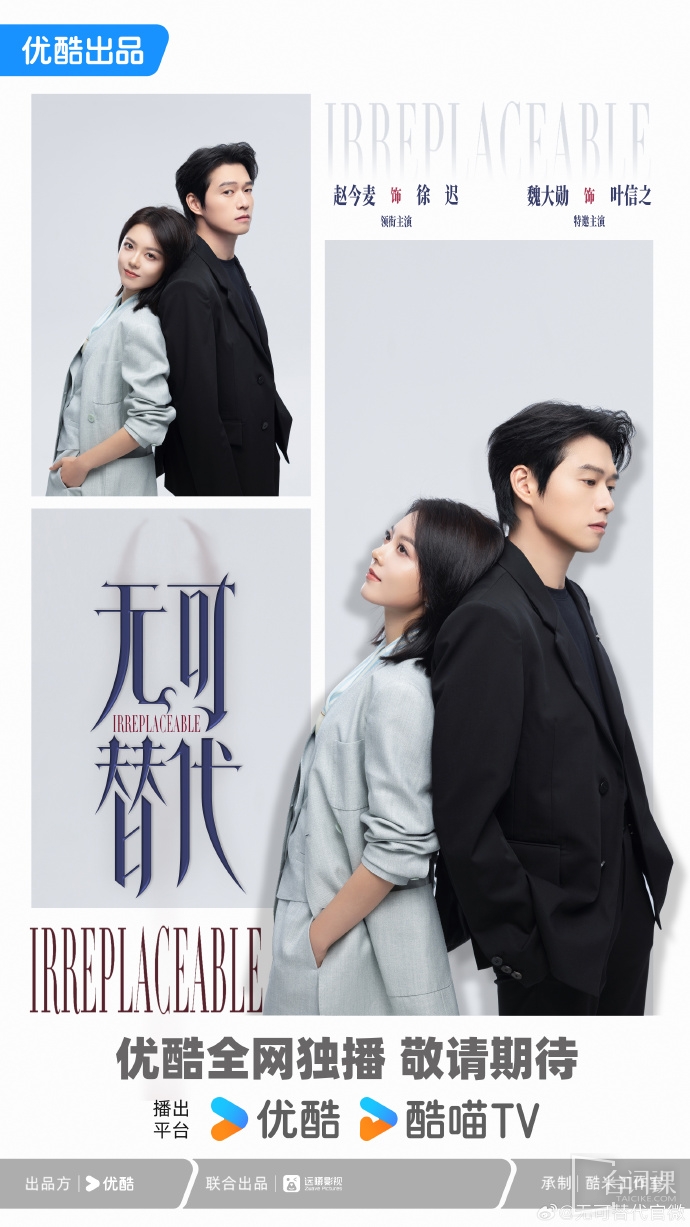 《IRREPLACEABLE》 Plot Summary - Air Date - Cast - Episode Guide ...