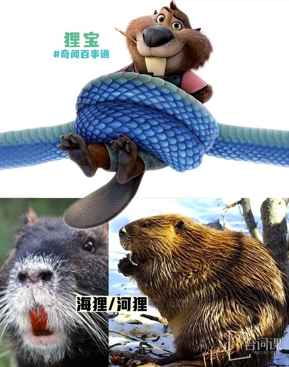 《Zootopia 2: Rise of the Non-Mammalians》Introduction to animal ...